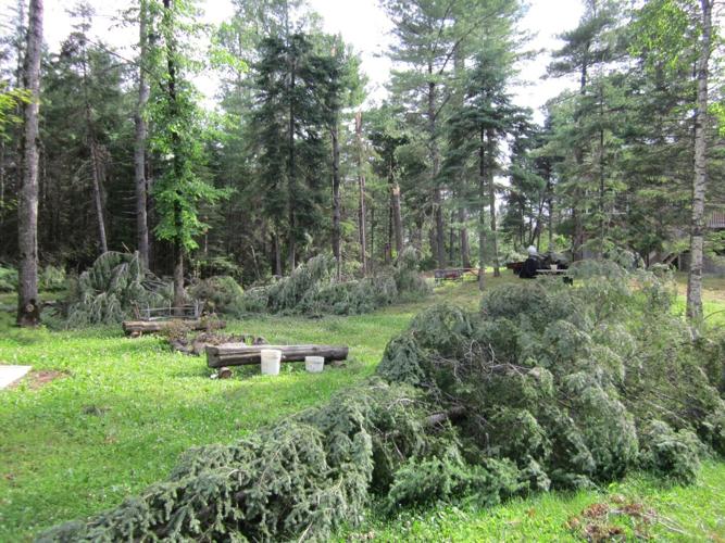 Did a twister blow through Haultain? | PHOTO GALLERY