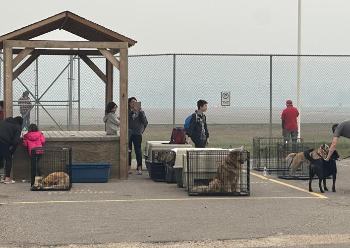 Northern Alberta community of Fort Chipewyan evacuated due to wildfire