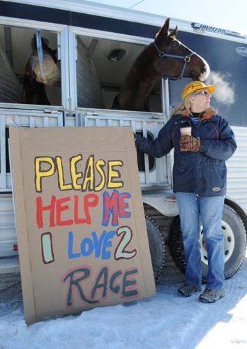 The OLG and horse racing are getting back together