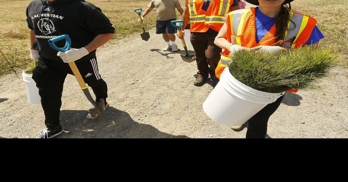 Otonabee Conservation planting more than 30,000 trees this fall