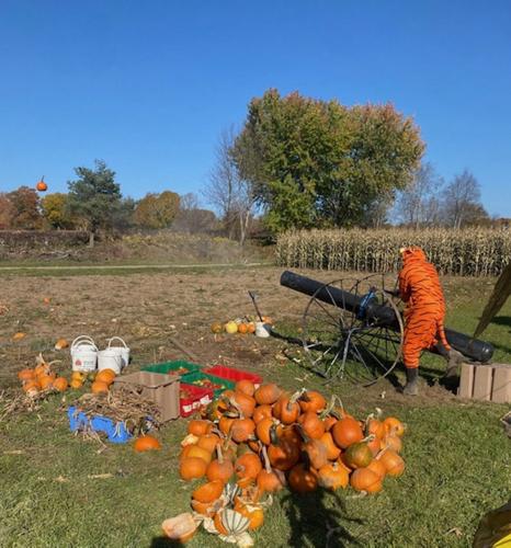 Buckhorn: Who doesn’t like watching a pumpkin cannon?