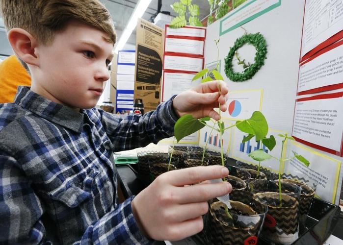 54th annual Peterborough Regional Science Fair returns in-person at ...