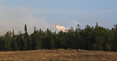 burnt forest postal code