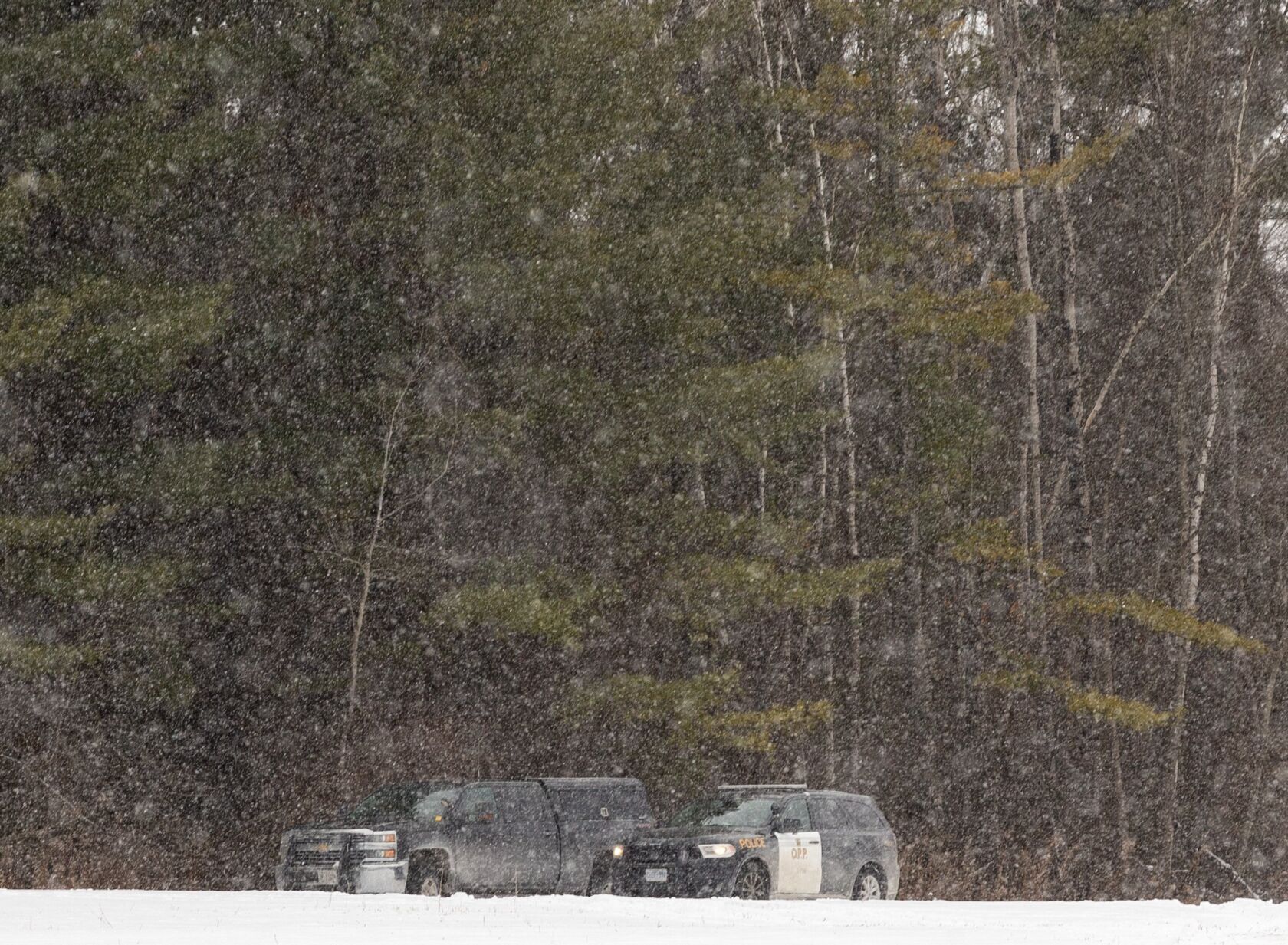 Suspected human remains discovered along 4th Line