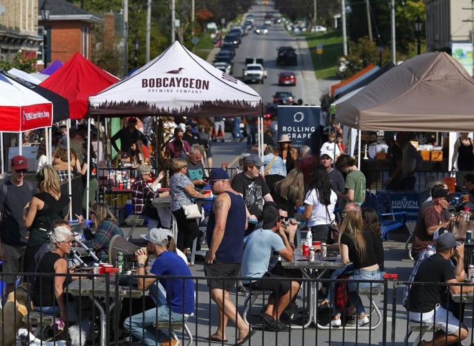 Photos: Fall Festival in Millbrook