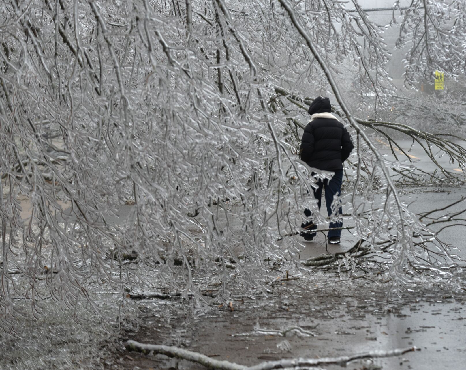PHOTOS: Peterborough walloped by weekend ice storm
