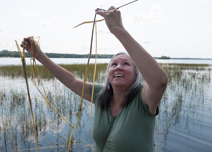 Fifth annual Mnoominkewin Gathering returns to Curve Lake