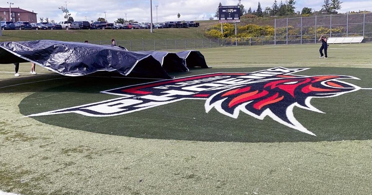 Out with the Knights and in with the Phoenix as Fleming College sports ...