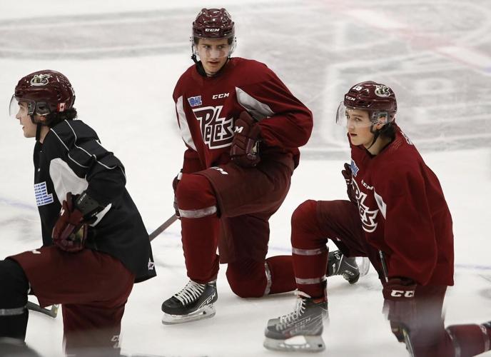 Matt Campbell: Chase Stillman trade gives Peterborough Petes a strong ...