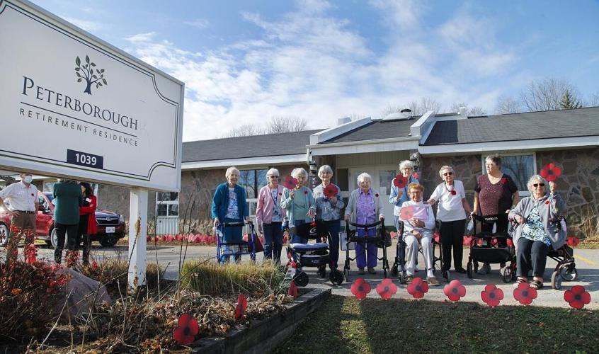 Photos: Poppy Project sends Remembrance Day messages to Peterborough ...