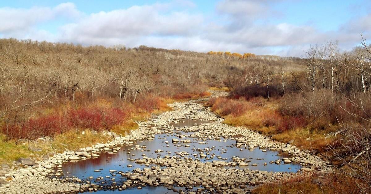 Michael Peterman: Spirit of reconciliation emerges in the Valley Of The ...