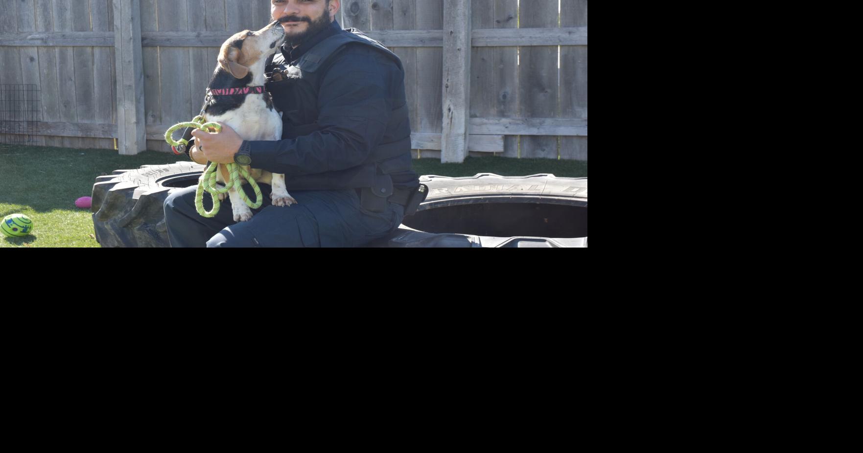 Animal welfare inspector hired to fill gap left by OSPCA in Kawartha Lakes