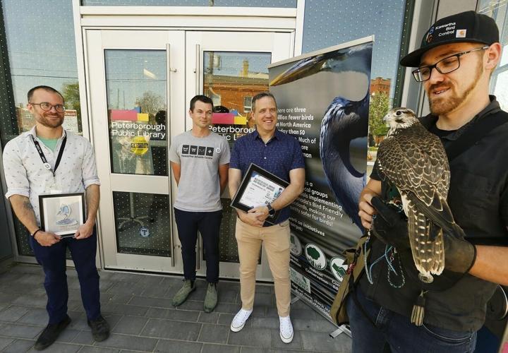 Photos: Peterborough declared a bird-friendly city