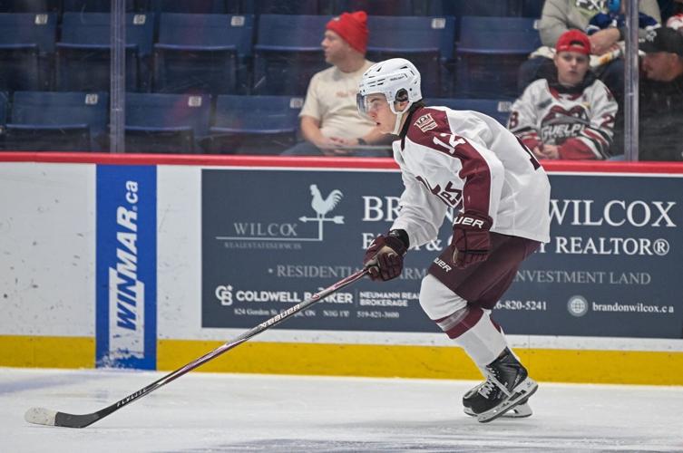 Petes three-game win streak ends with shootout loss to Storm