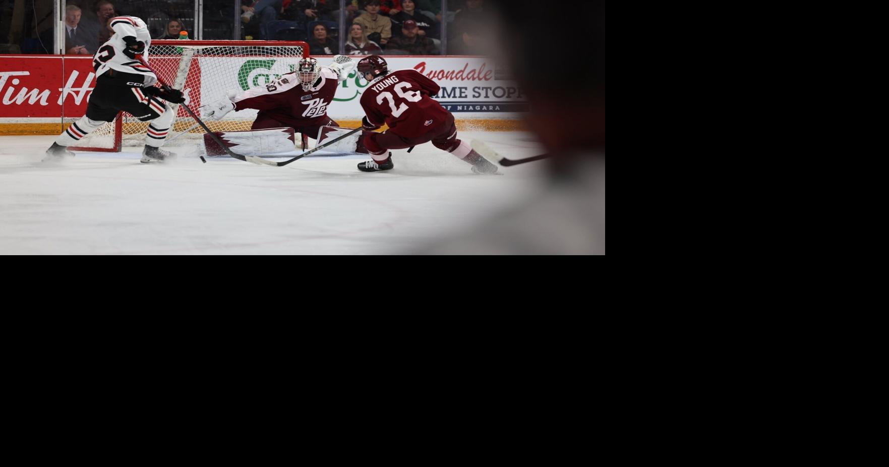 Petes end 2024 with narrow loss to the Niagara IceDogs