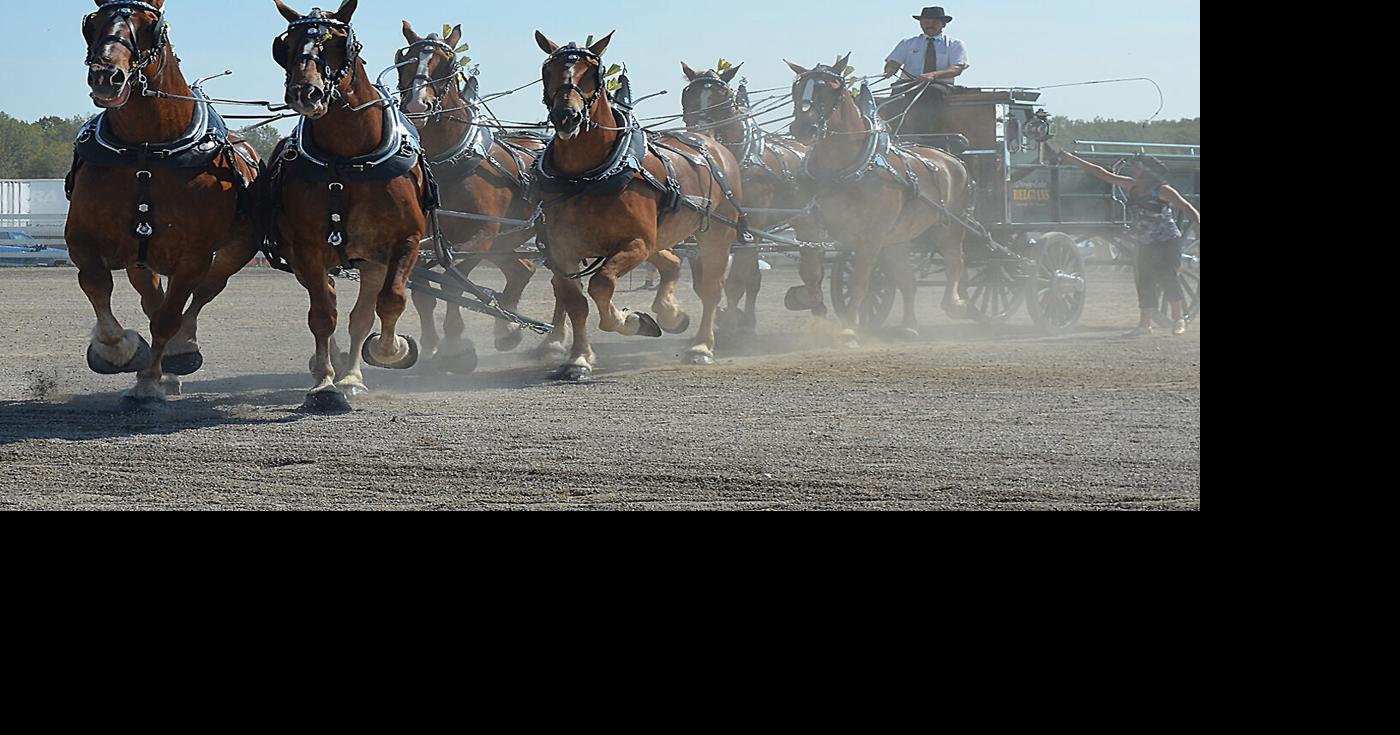 6 reasons why you should go to this year's Lindsay Exhibition