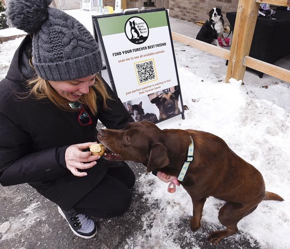 Black Honey Dog BARKery grand opening held in Peterborough