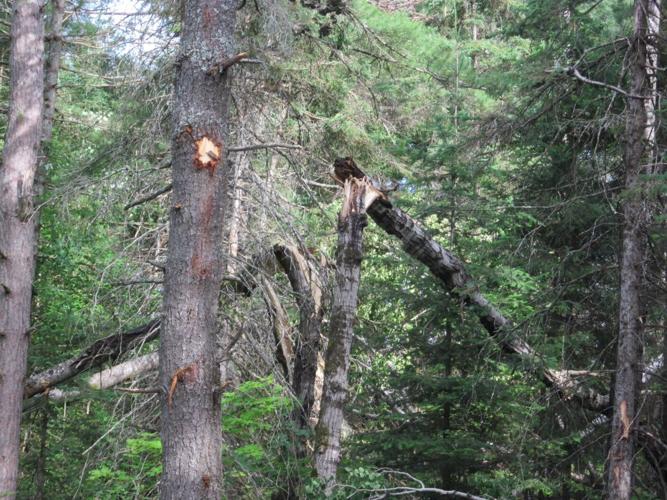 Did a twister blow through Haultain? | PHOTO GALLERY