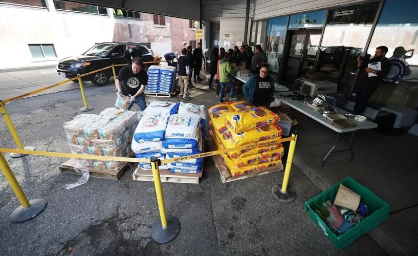 Inflation forcing pet lovers to go hungry to feed animals