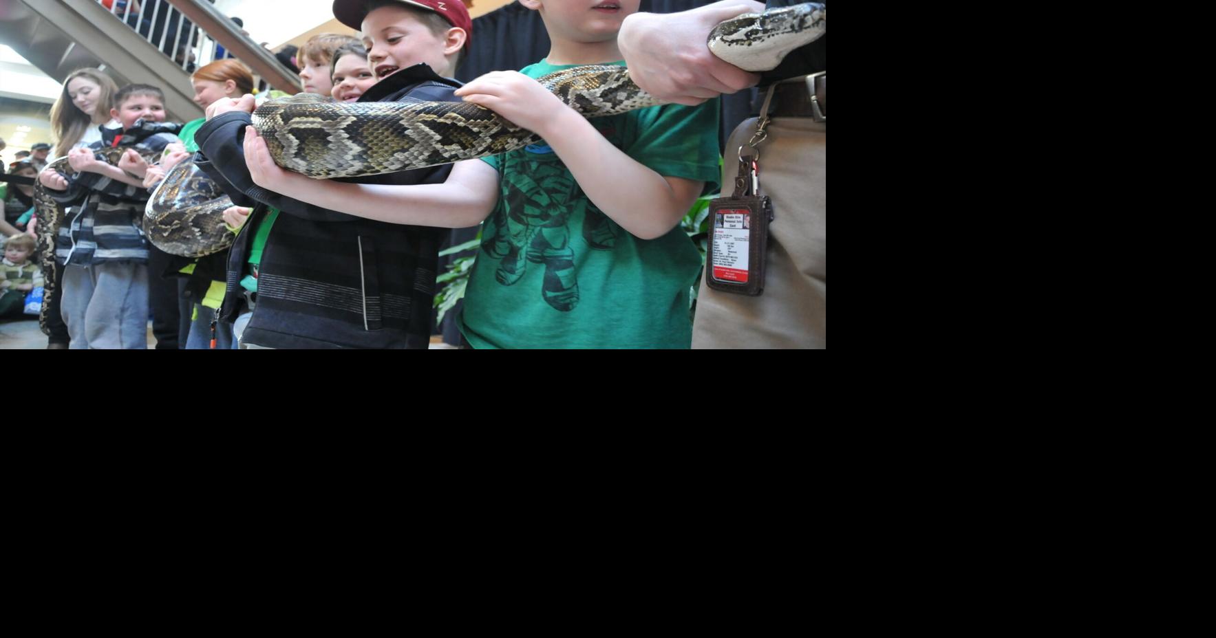 15-foot Burmese Python visits Lansdowne Place