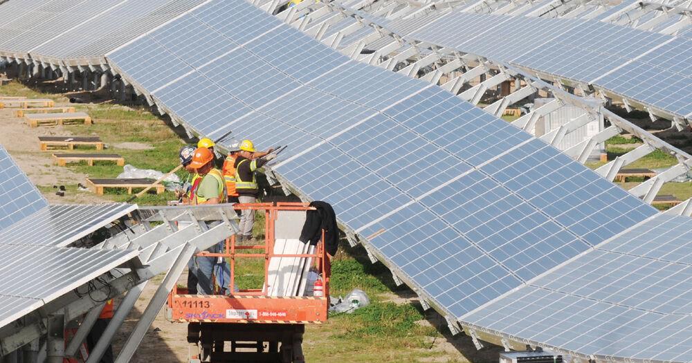 Solar farms fighting for space in Northumberland’s agricultural country