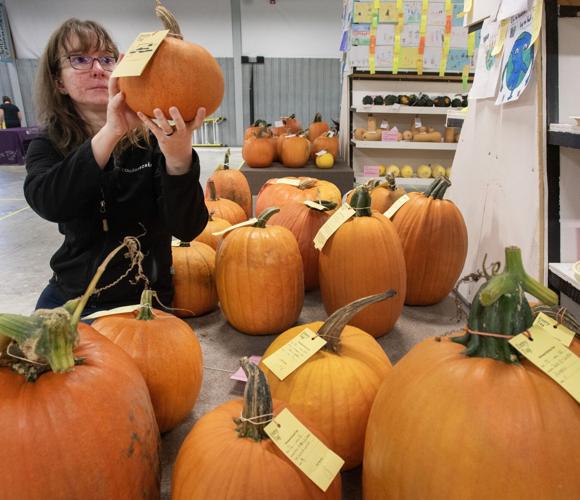 Norwood Fall Fair to attracts more than 800 exhibitors