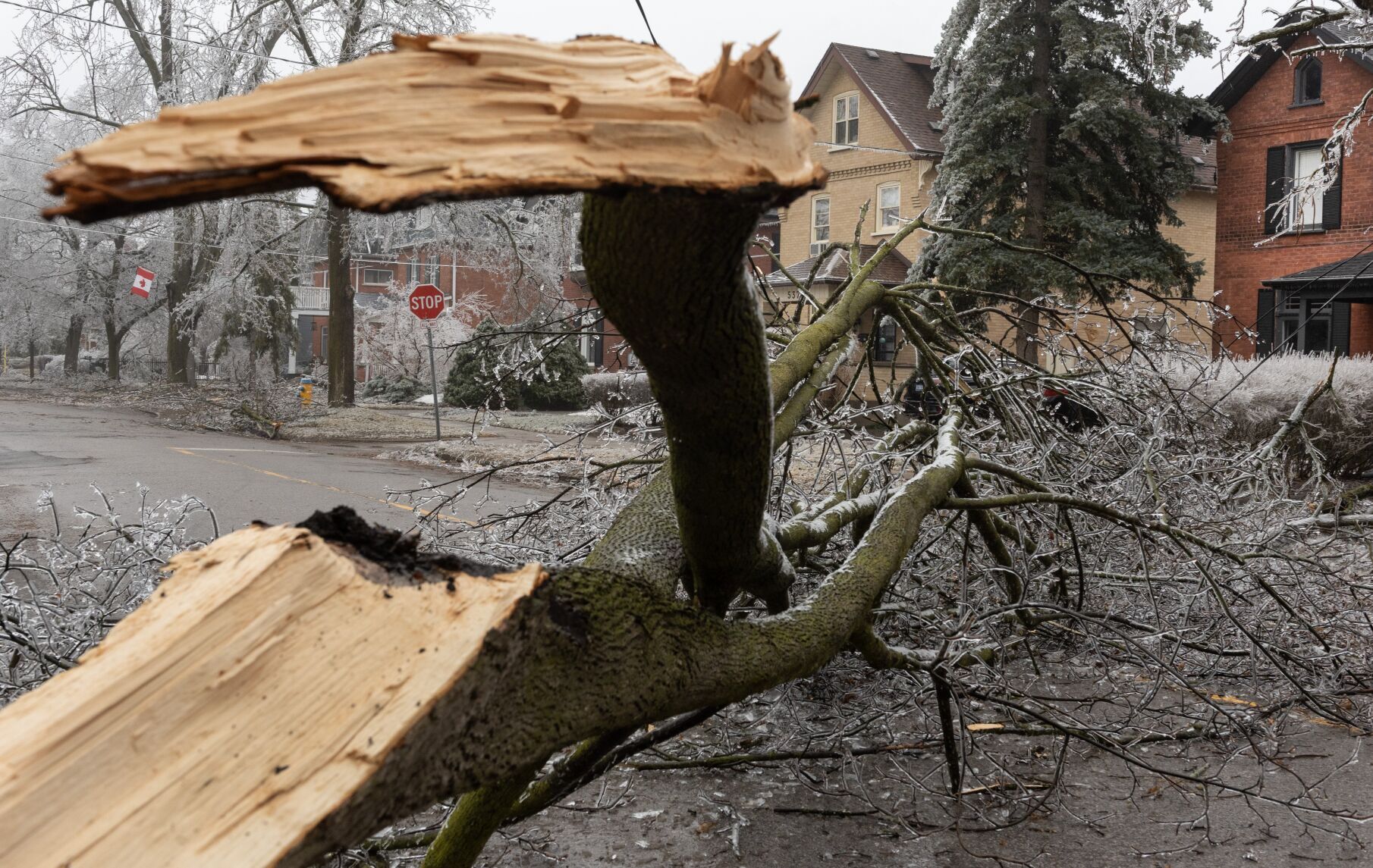 PHOTOS: Peterborough walloped by weekend ice storm