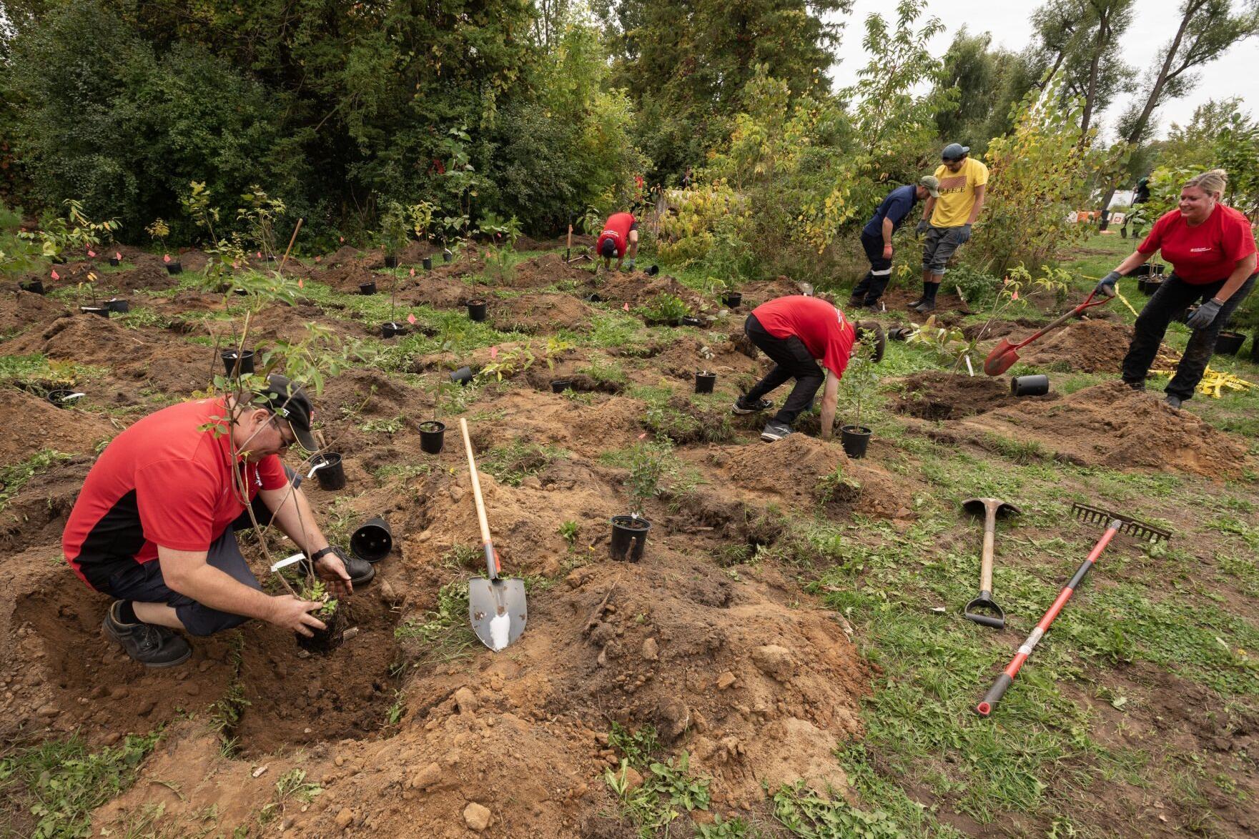 45th annual Terry Fox Run is coming up