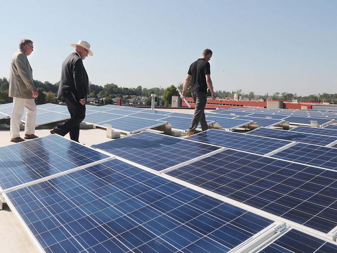 Solar farms fighting for space in Northumberland’s agricultural country
