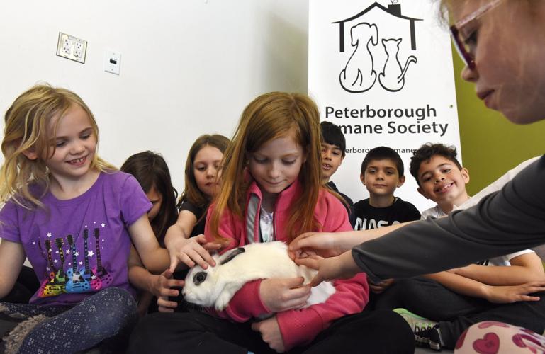 Peterborough Humane Society introduces 50/50 lottery