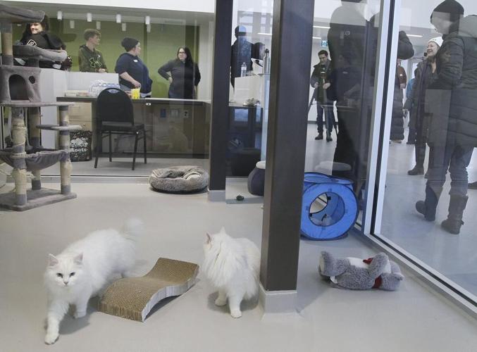 100 animals moved to new Peterborough Animal Care Centre