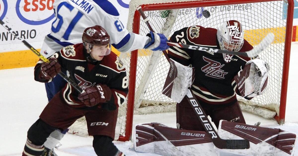 For prospect Chase Stillman, NHL hockey is the family business