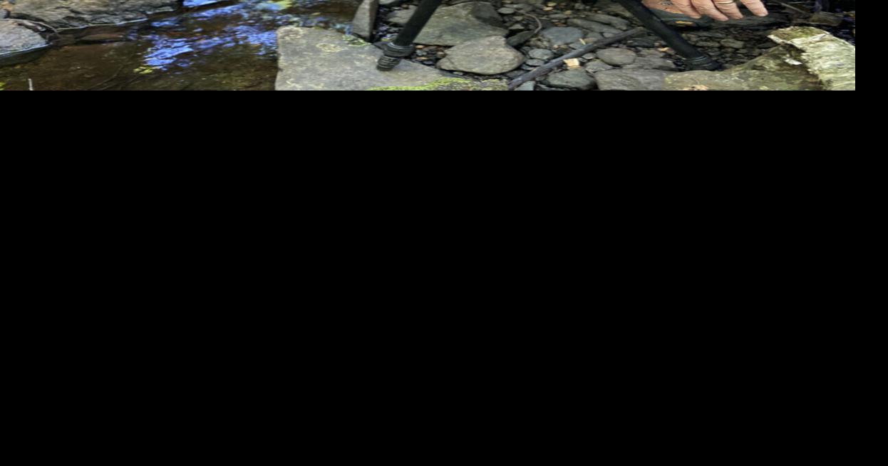 North Durham Nature to discuss ethical wildlife photography