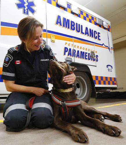 Charlie, Peterborough County’s newest hire, helps local paramedics open ...
