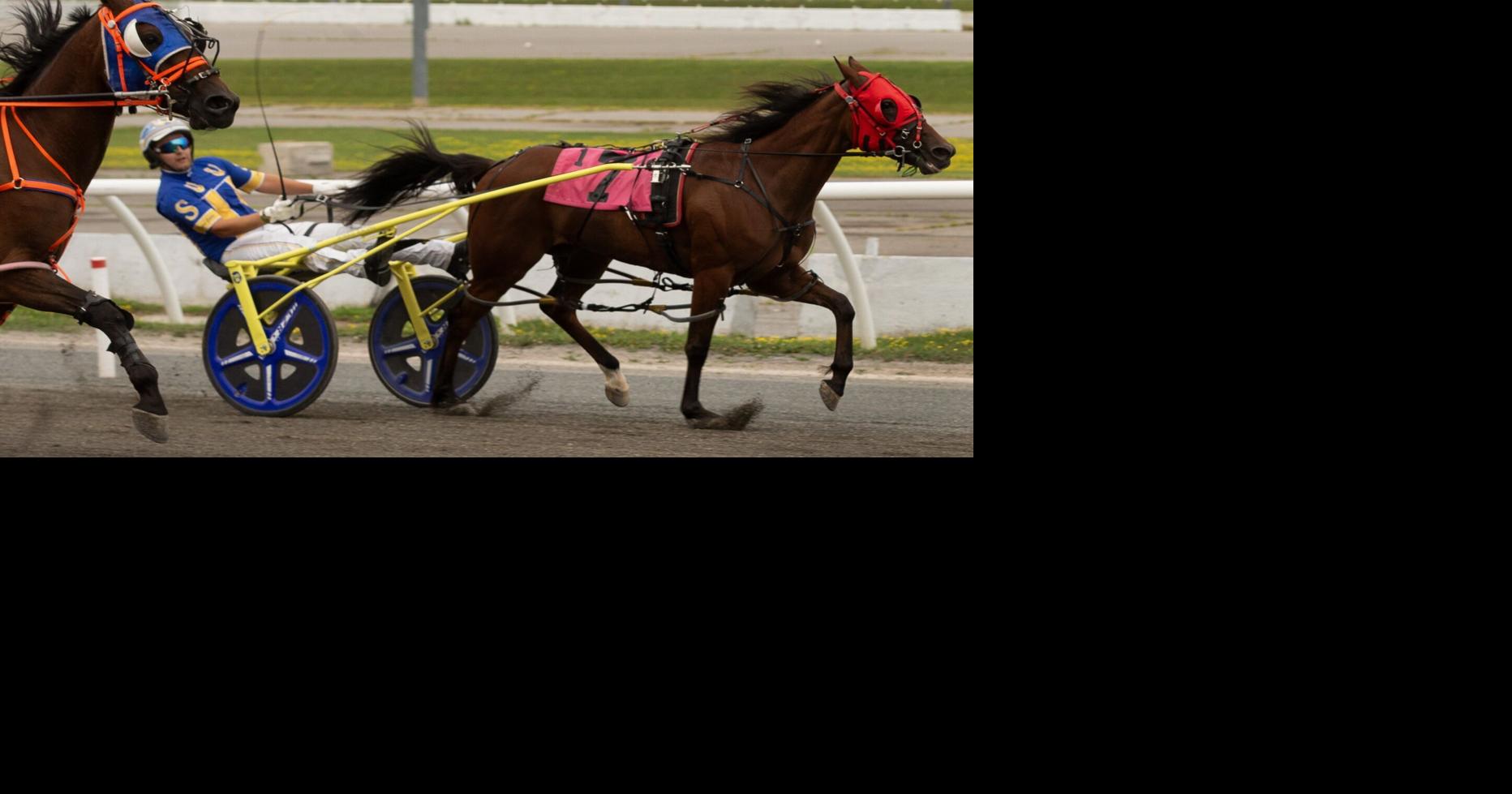 Harness racing back on track after funding dispute
