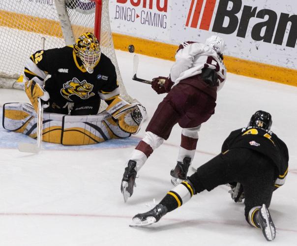 Petes sting Sarnia and extend win streak to 5 games