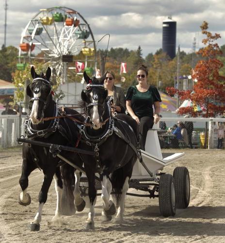 PHOTOS: Norwood Fair in full swing