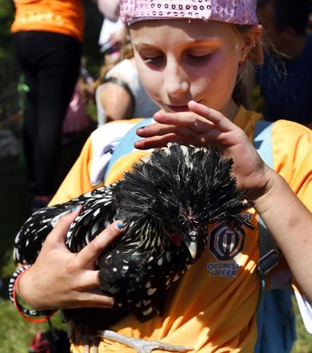 Photos: Ennismore Shamrock Festival celebrates traditions and heritage