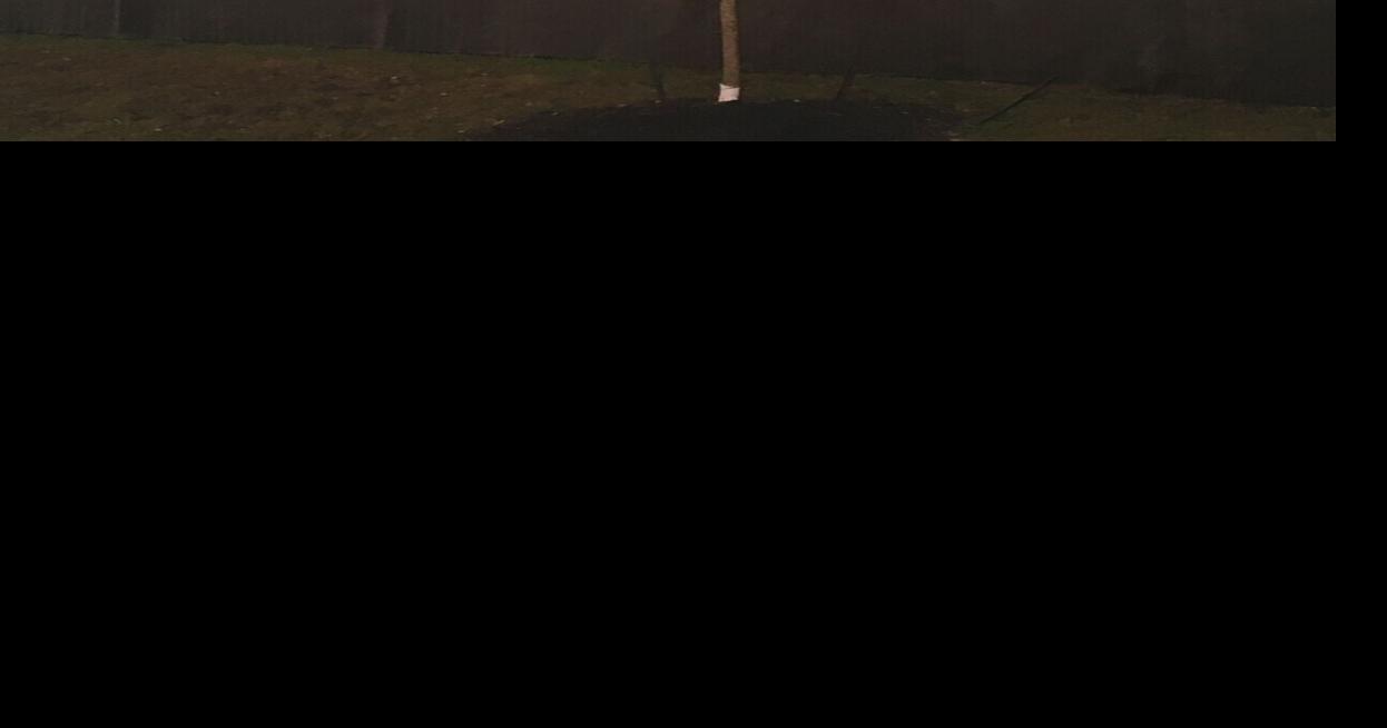 Father, son burnt in Wednesday morning Vaughan house fire