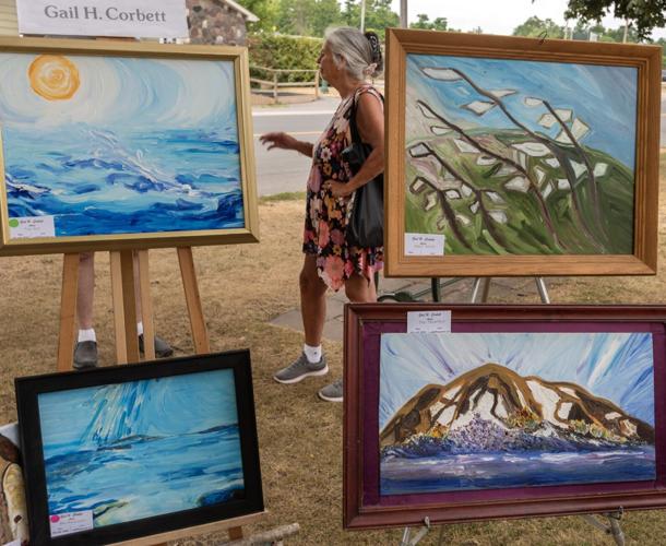 Art in a Lakefield park