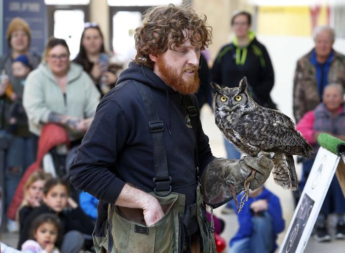 The Eyrie Birds of Prey centre event held at Lansdowne Place