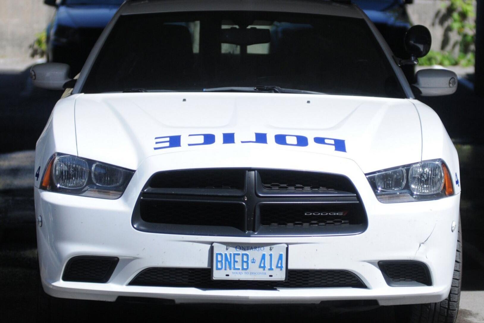 Unique dog racing event returns to Kawartha Downs