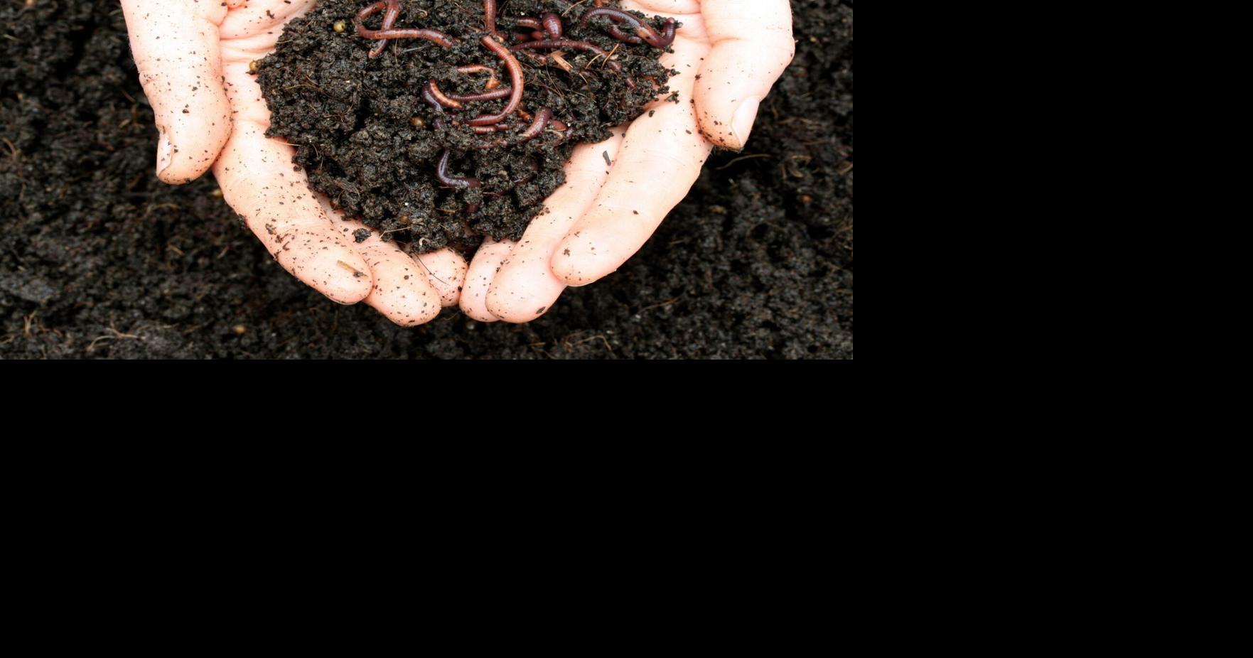 Worms working to fight climate change