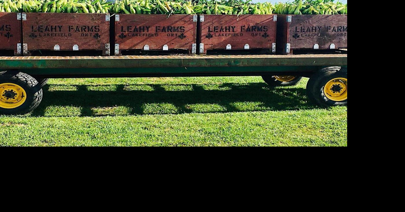 Family roadside corn stand grows into five generation market