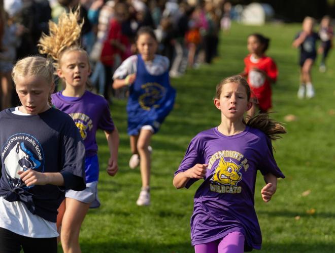 Race day for cross-country runners