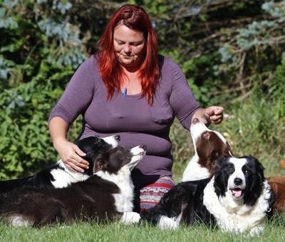 border collie umbrella