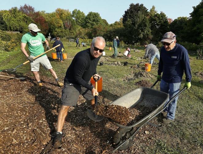PHOTOS: Planting 500 trees to enhance Peterborough’s canopy