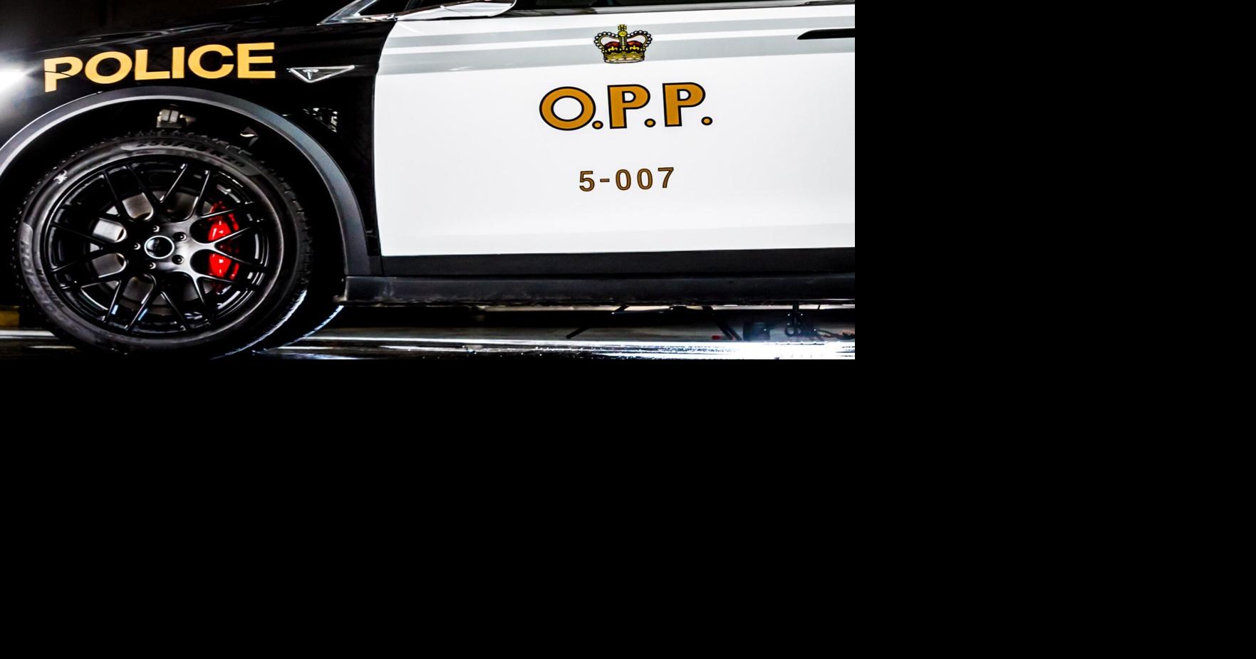 OPP urge residents to be ‘vigilant’ as ‘wildfire donation scam ...