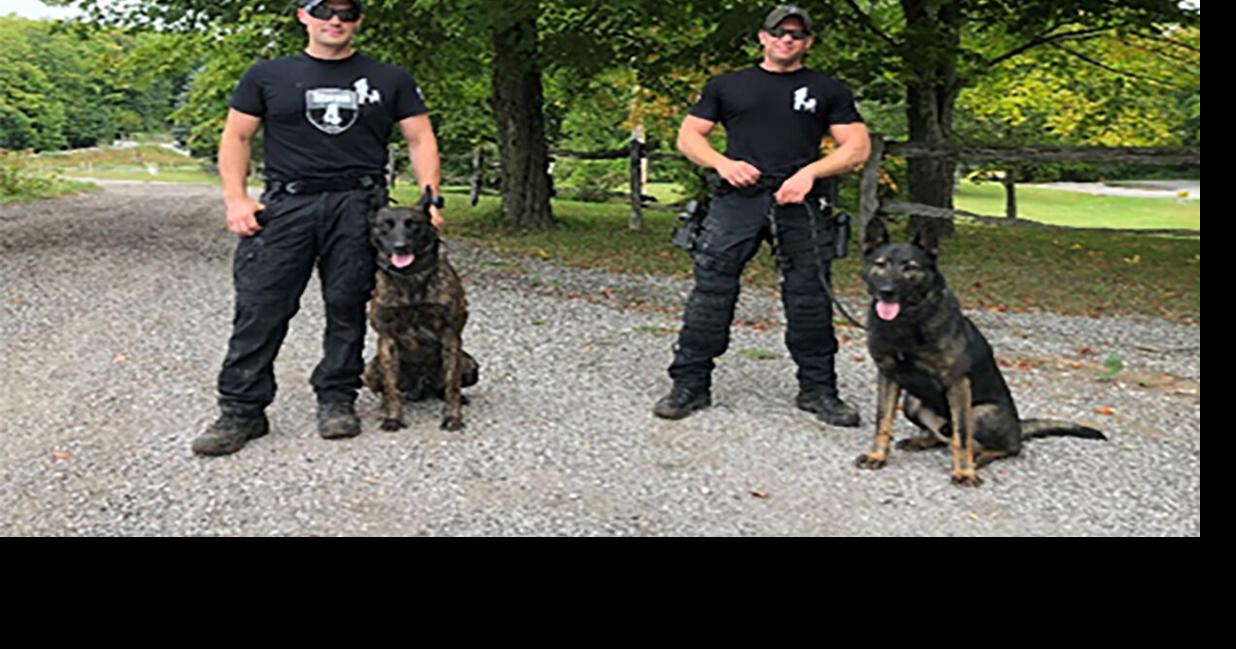 Police dogs compete at Canadian police dog championship