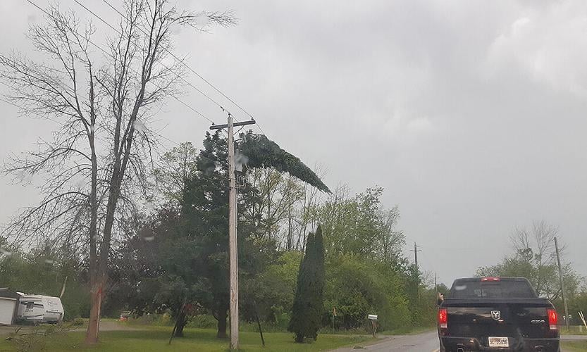 PHOTOS: Severe storm blasts through Peterborough area leaving wake of ...